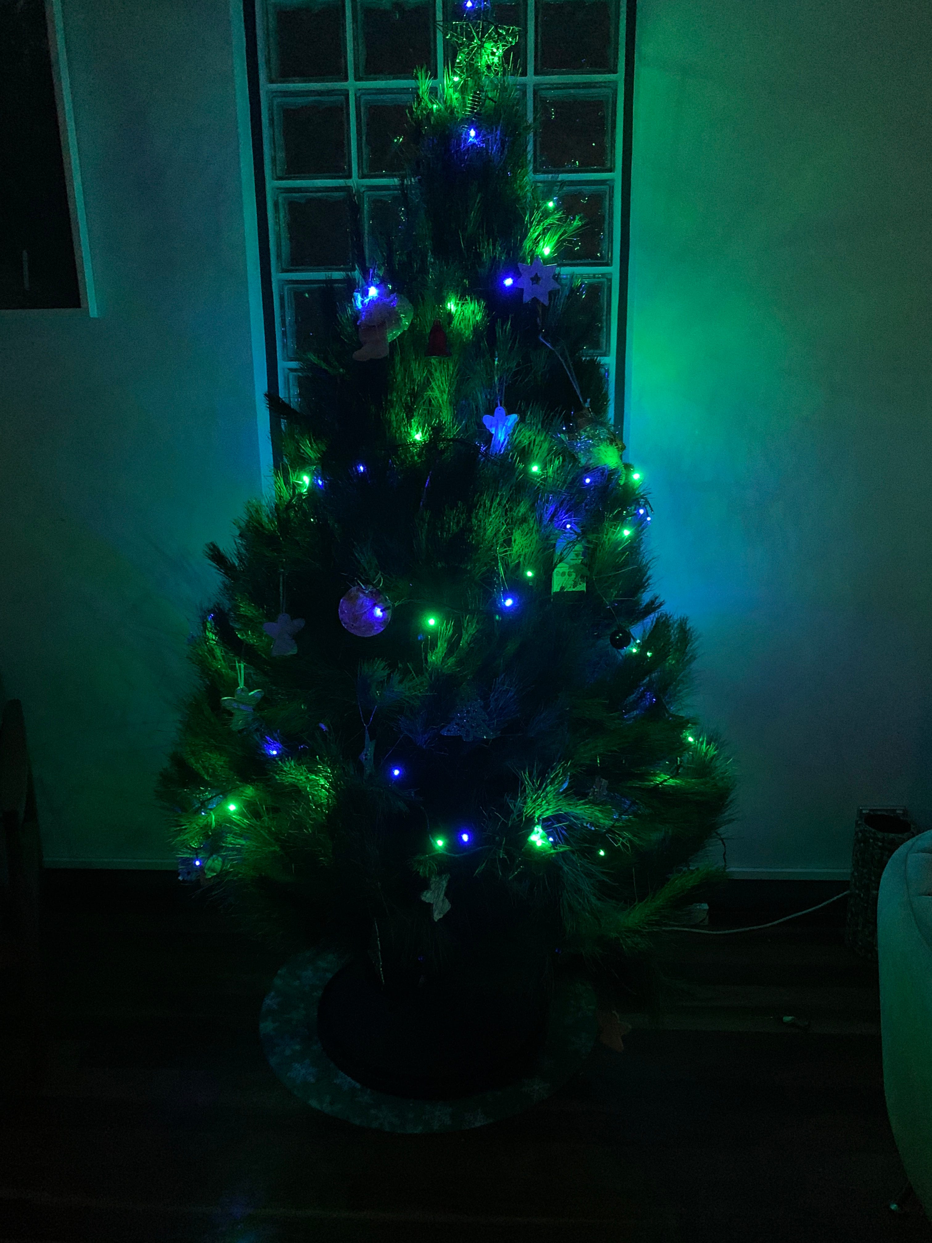 Bah Humbug! - by Sunny Grace - Sunny’s Substack