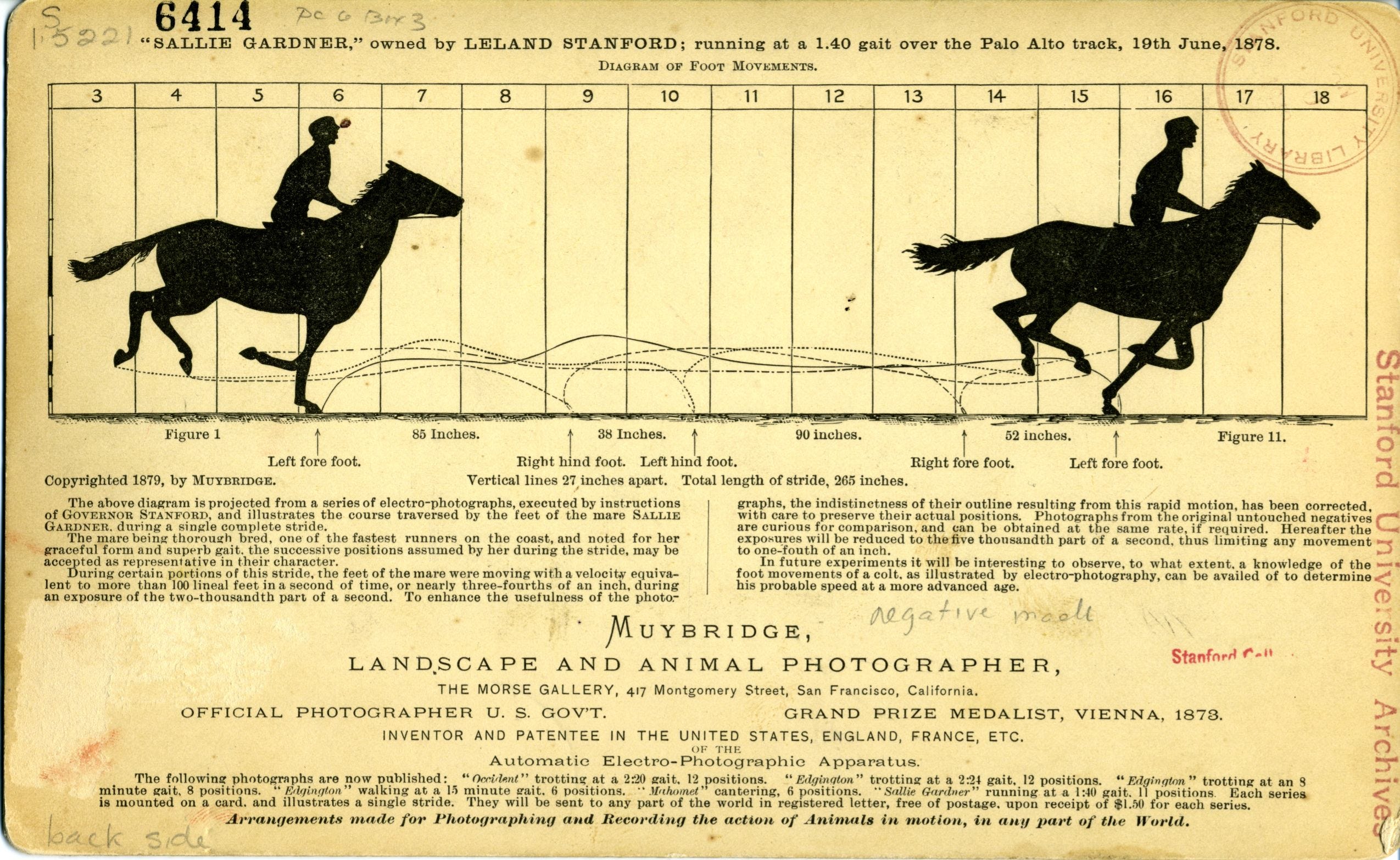 The First Movie Stars (1879) - by Peter Pappas
