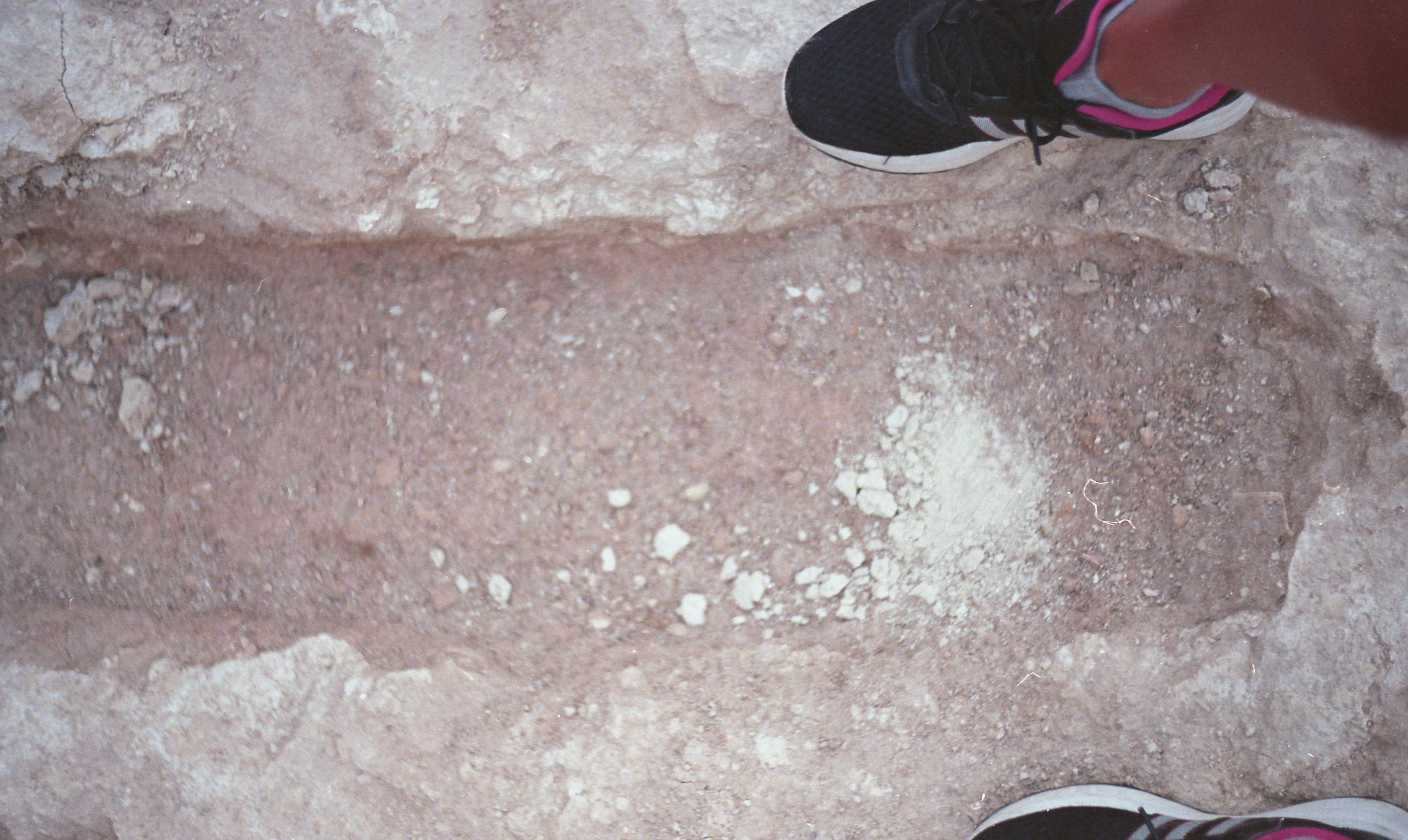 Shifting the focus - Roberta’s Substack