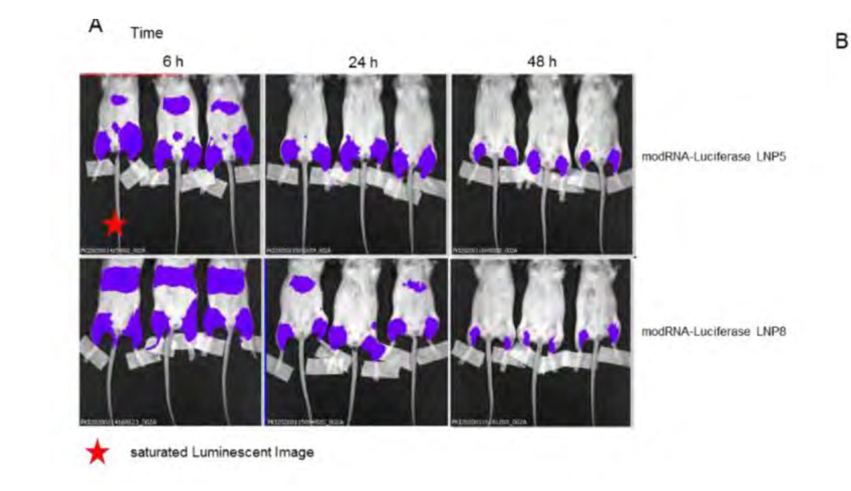 mRNA/LNP didn't stay at the injection site for the rats either, it went ...