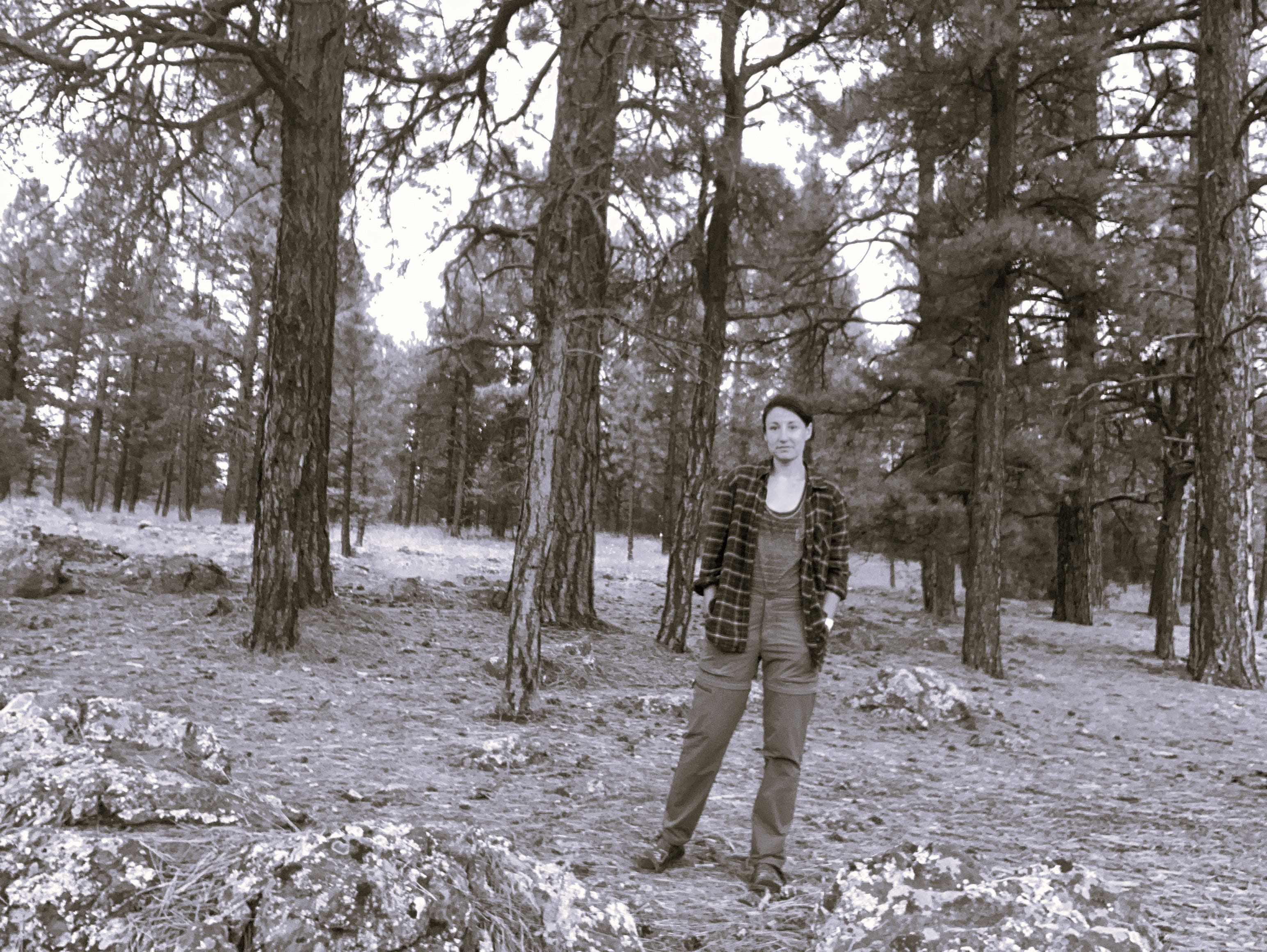 Lillian Seidel | Substack