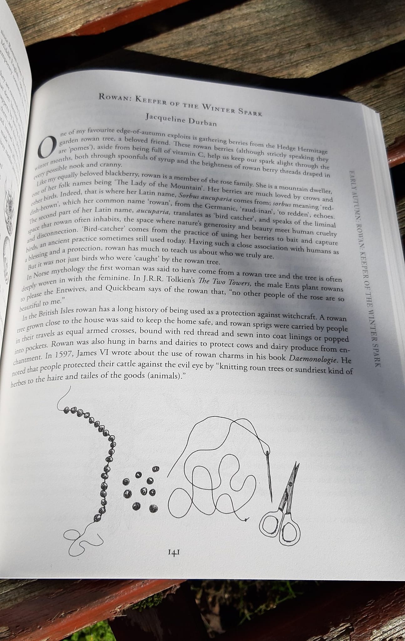 The Kitchen Witch Companion - by Jacqueline Durban