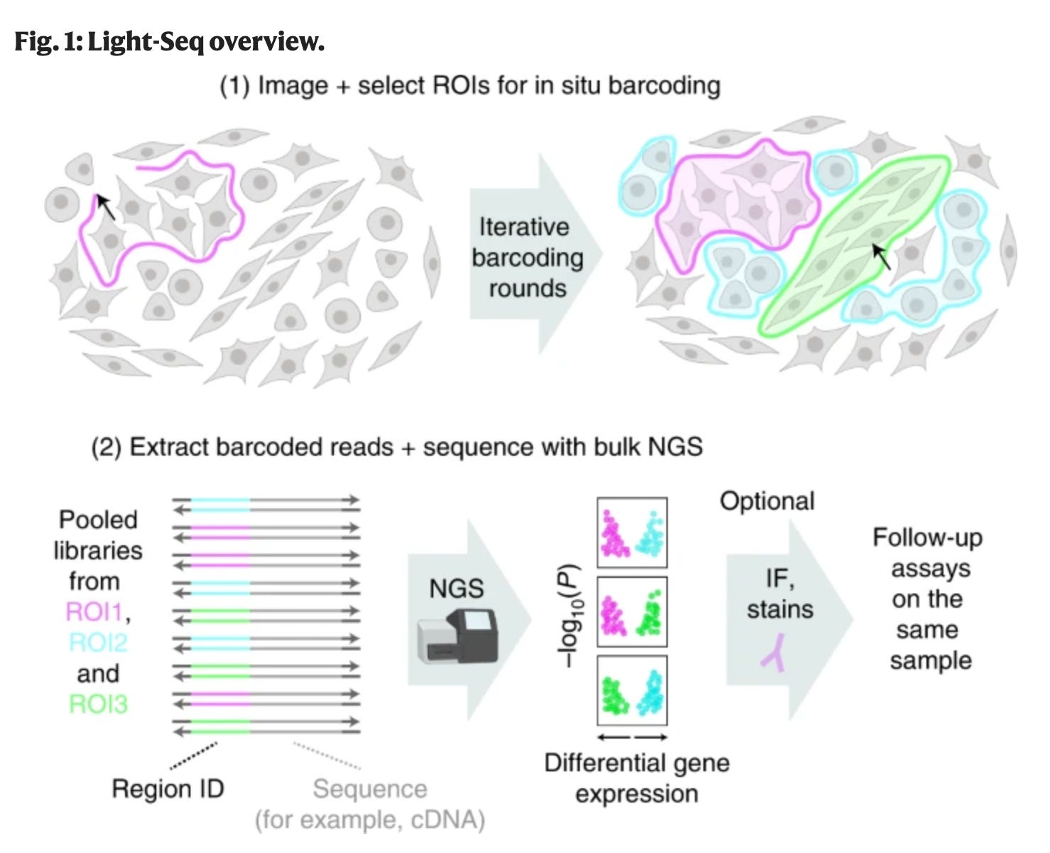 Landscape of Sequencing-based Spatial RNA Technology: Part I
