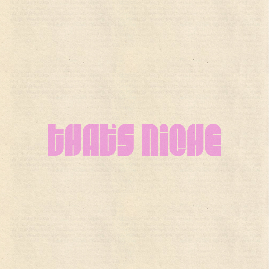 That’s Niche | Substack