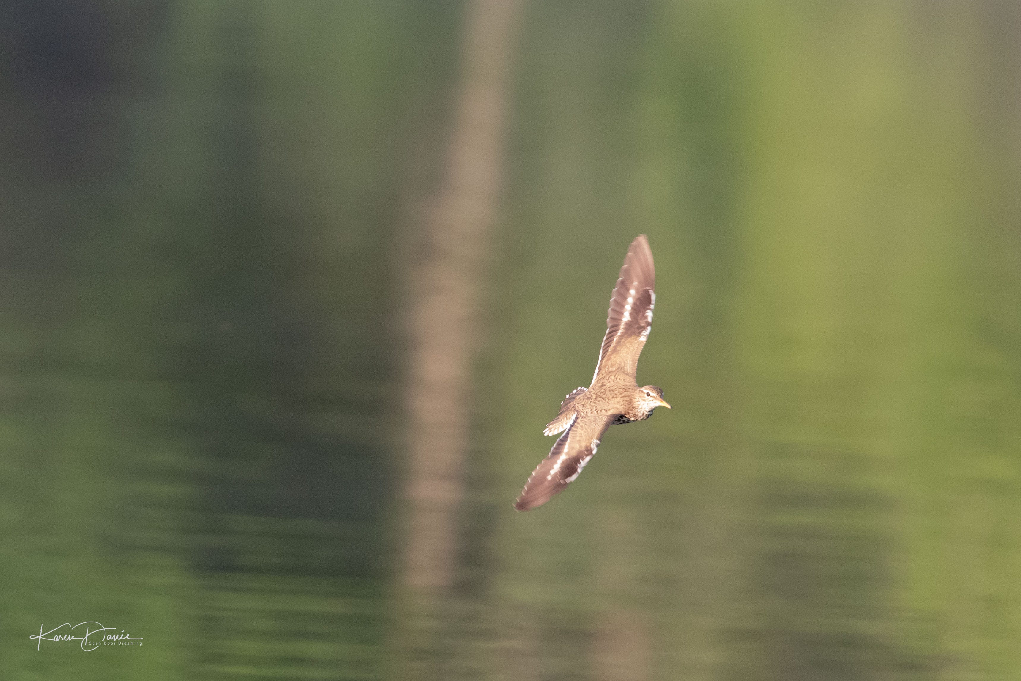 Lead With Your Heart - by Karen Davis