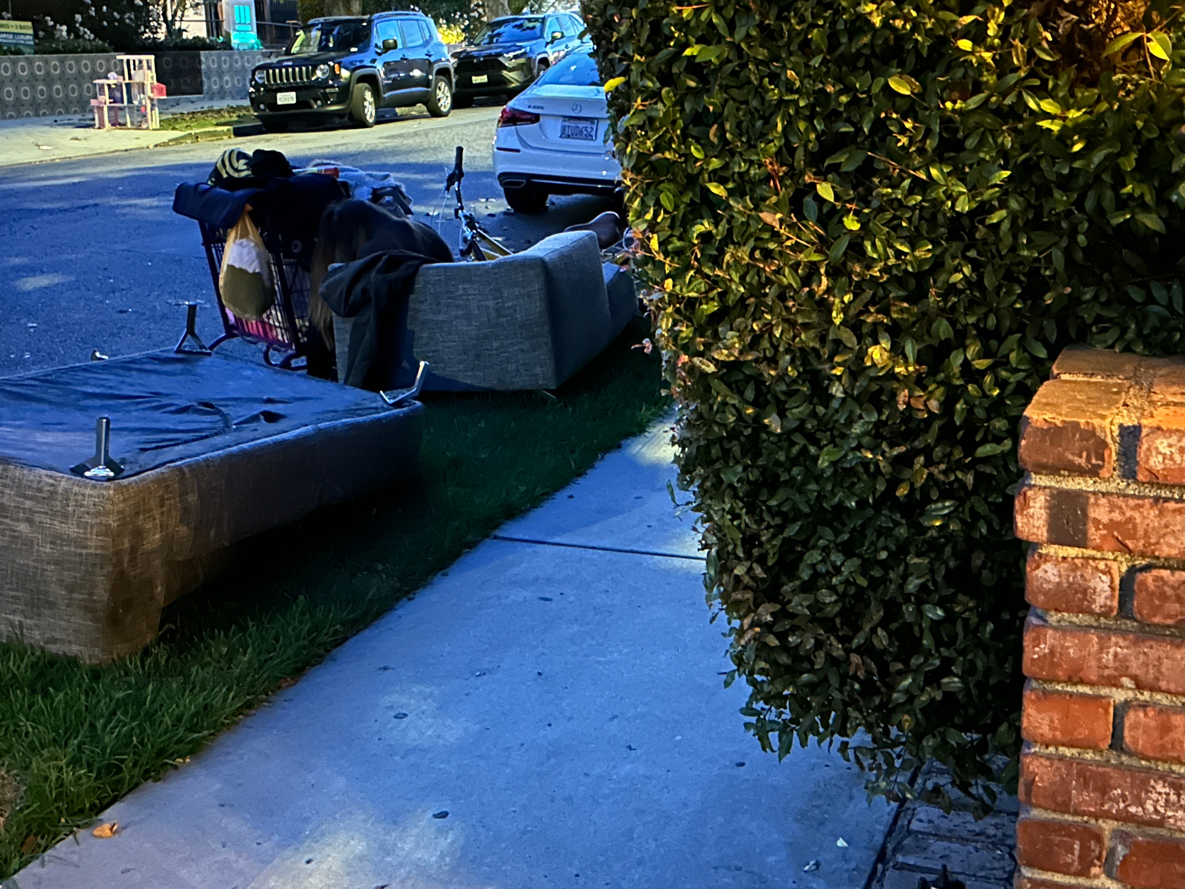 The California Homeless Problem Is a Bear - Virginia Postrel
