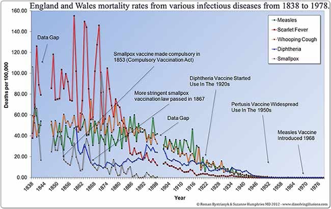 What Can the Smallpox Vaccine Disaster Teach Us About Spike Protein ...