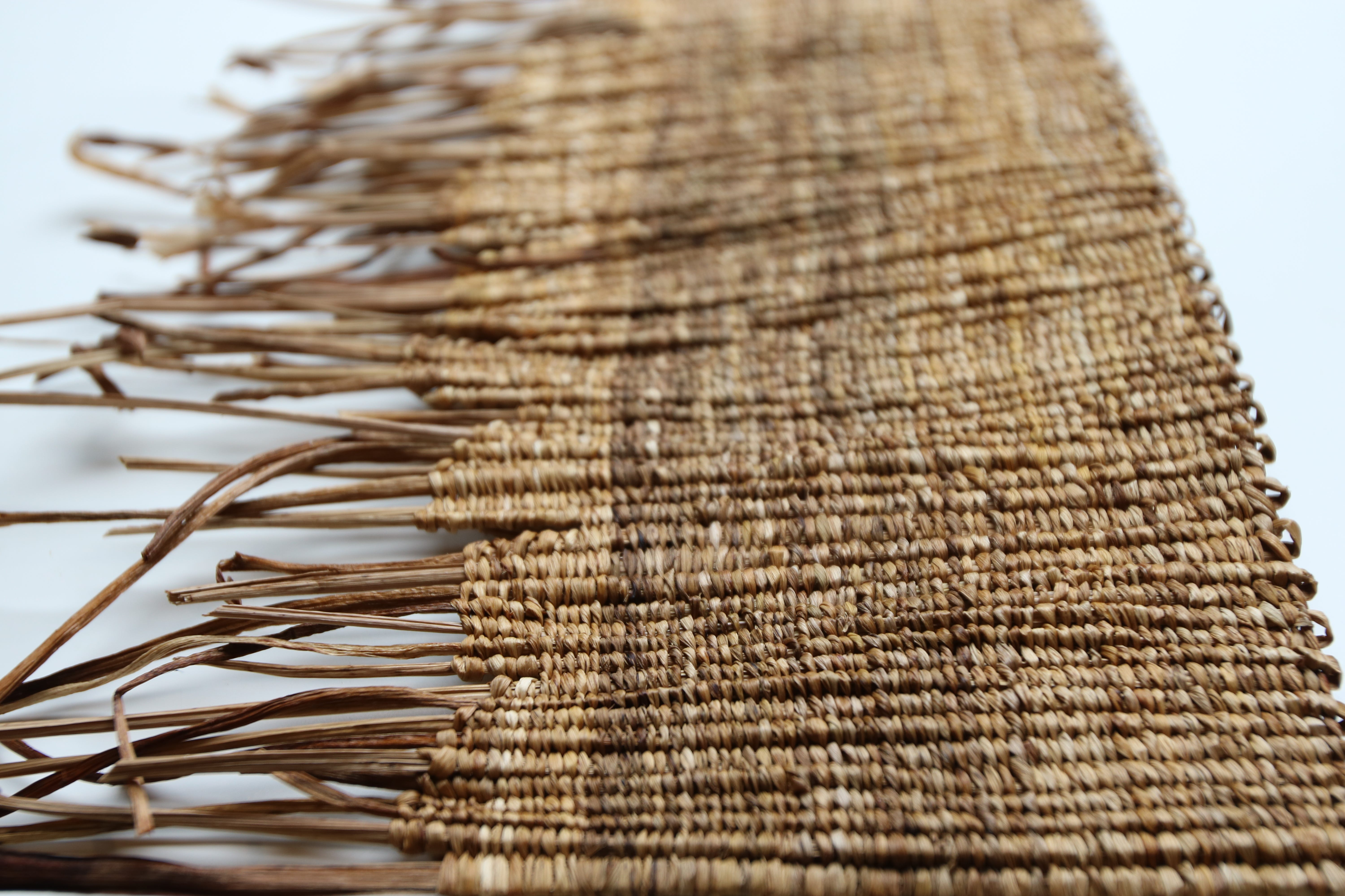 Maintenance Mode - Alice Fox’s Substack