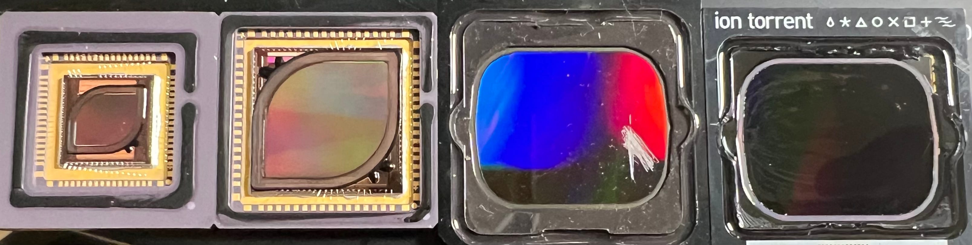 A Look At Ion Torrent (and some chips) - by Nava Whiteford
