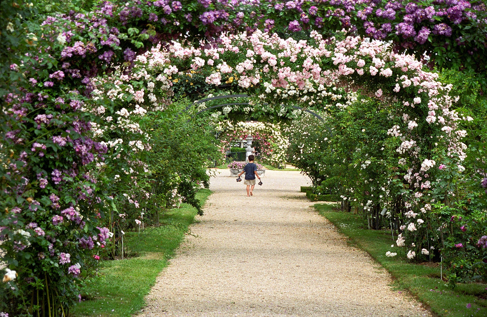 LIVING BEAUTIFULLY - by Cheryl Dalsanders