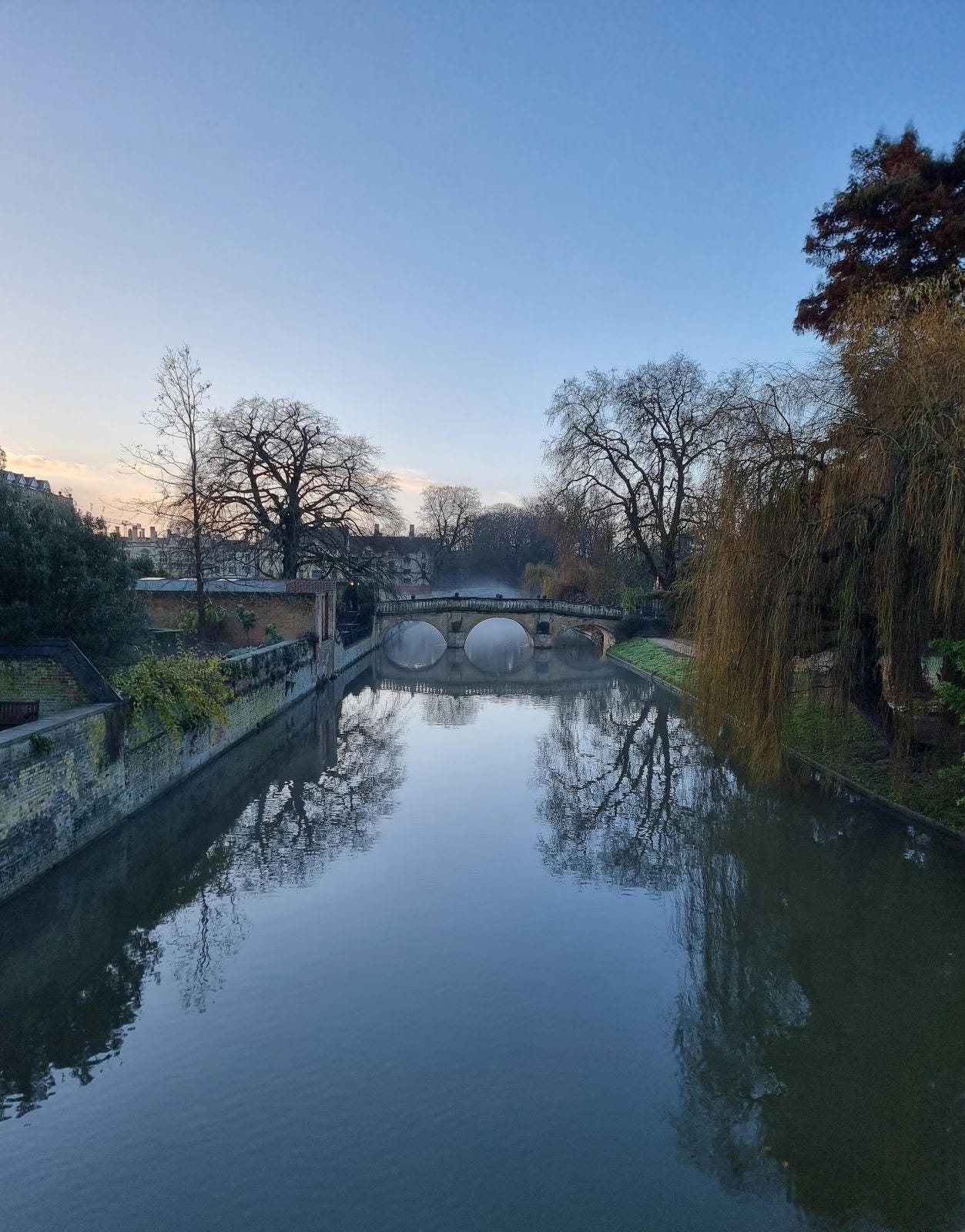 My first year on Substack - by Ann Kennedy Smith