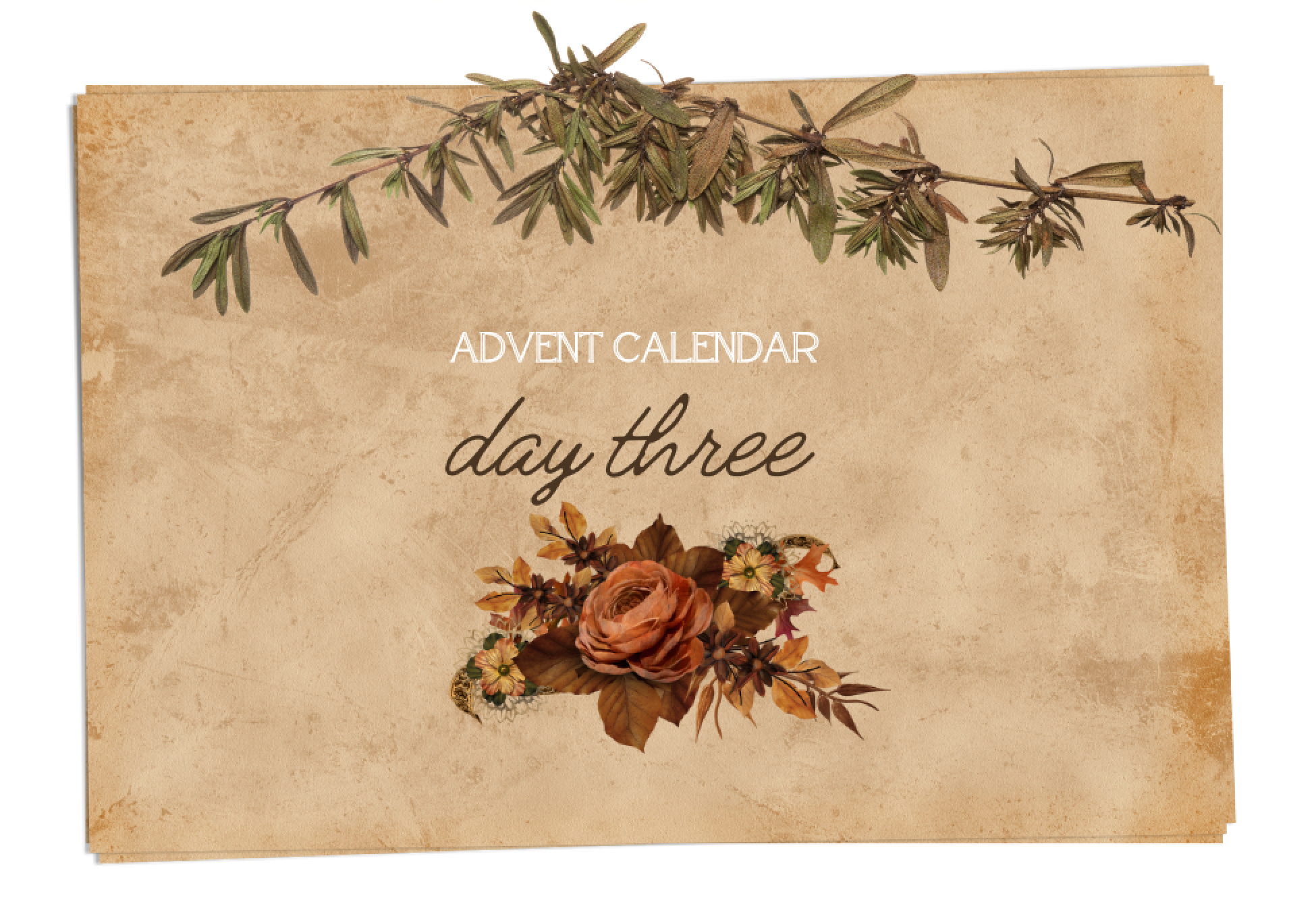 moth - by Betty Corrello - Hello Corrello