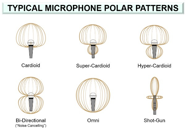 Understanding Microphone Directional Types: A Guide To Polar Patterns