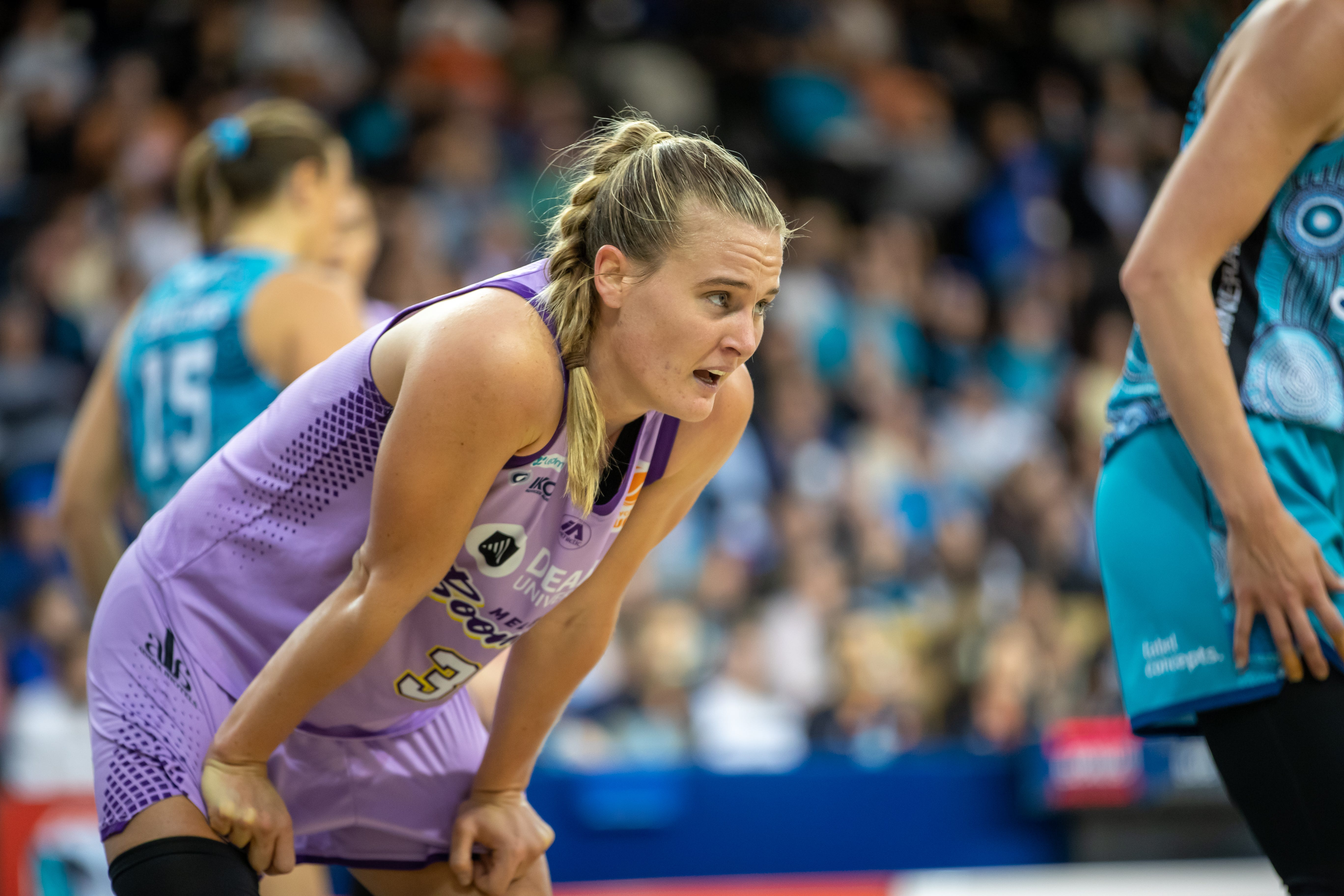 How past and present WNBL players are shining in the WNBA