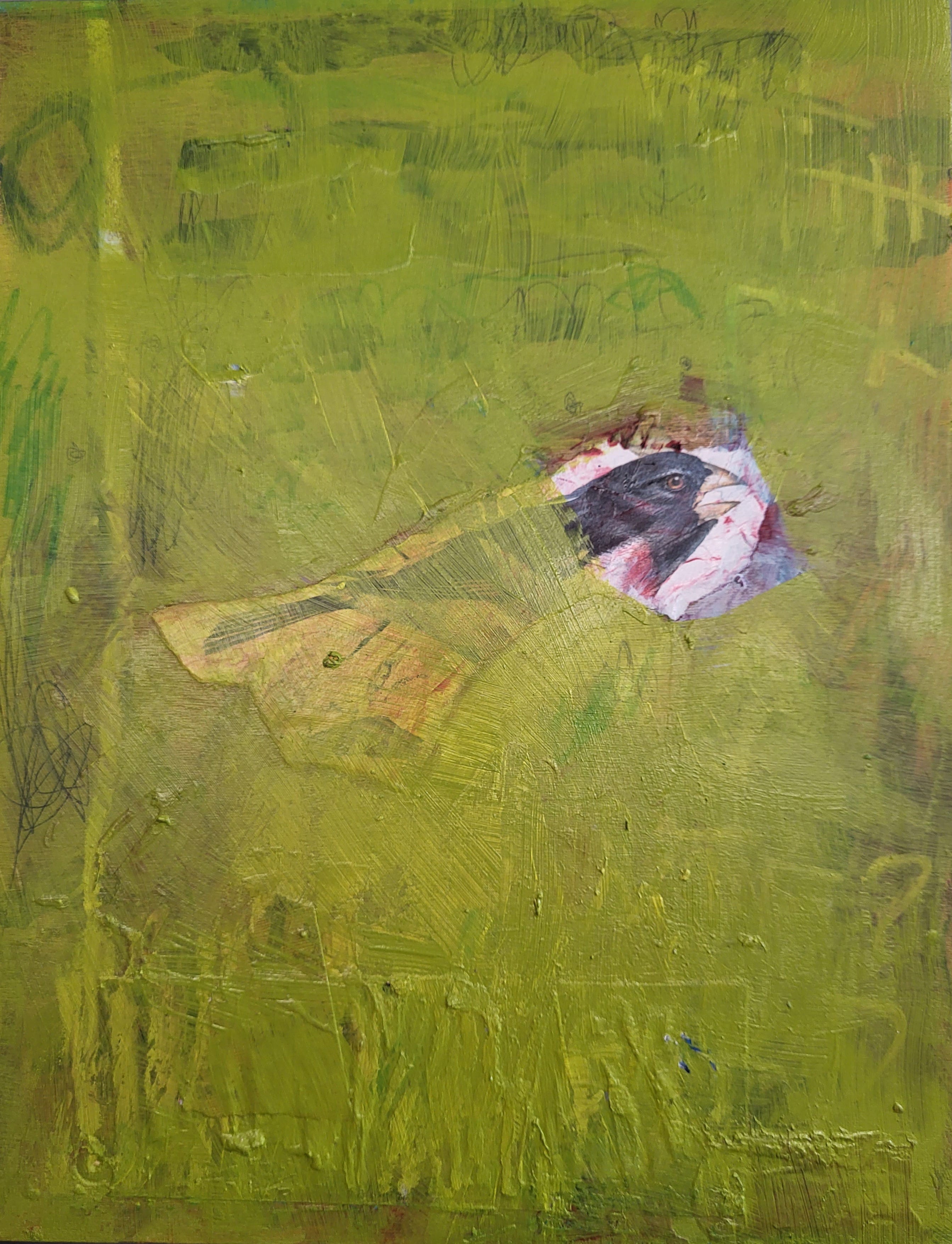 Ladypajama | Substack