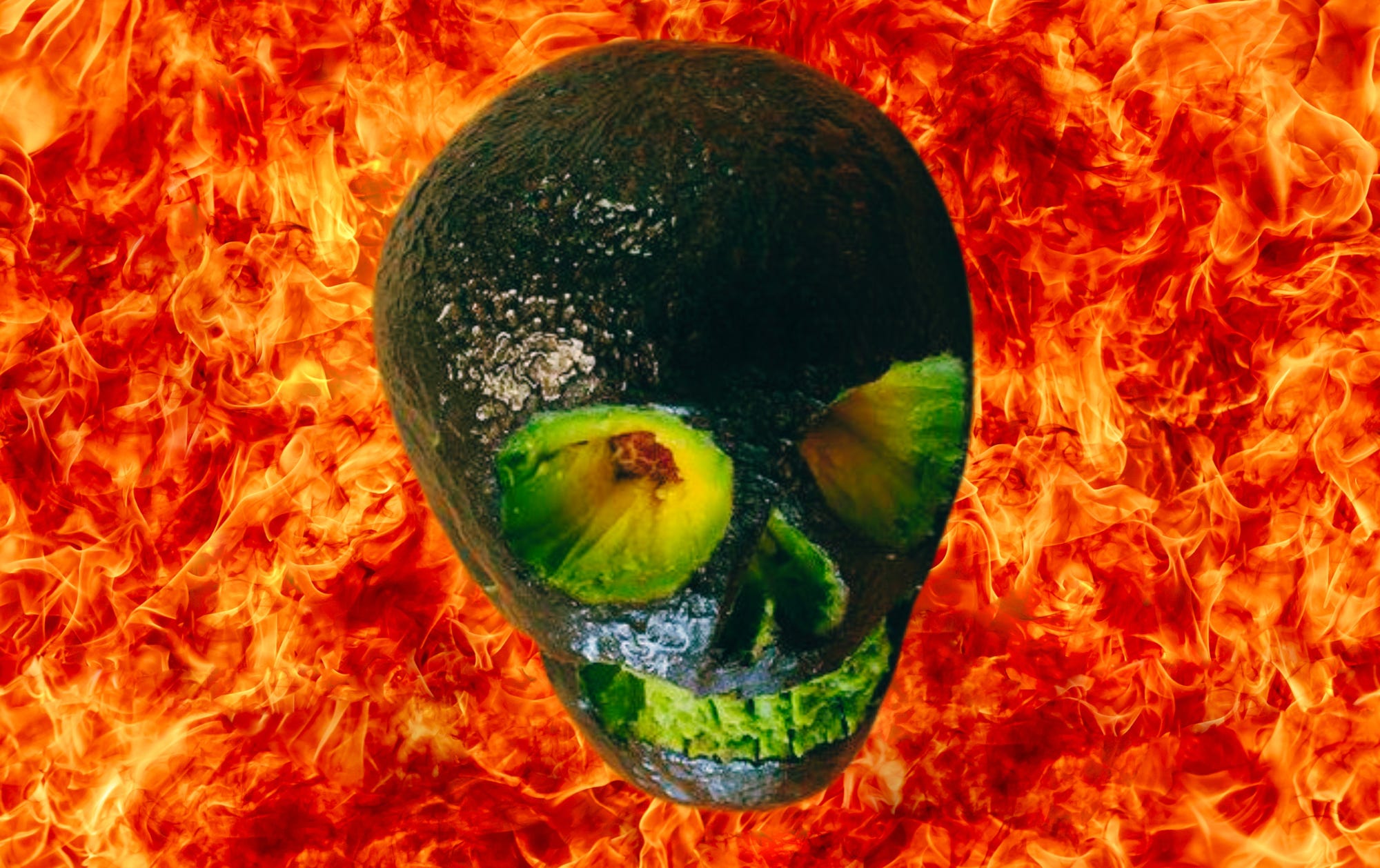 Avocado of Doom - by Norman T. Leonard