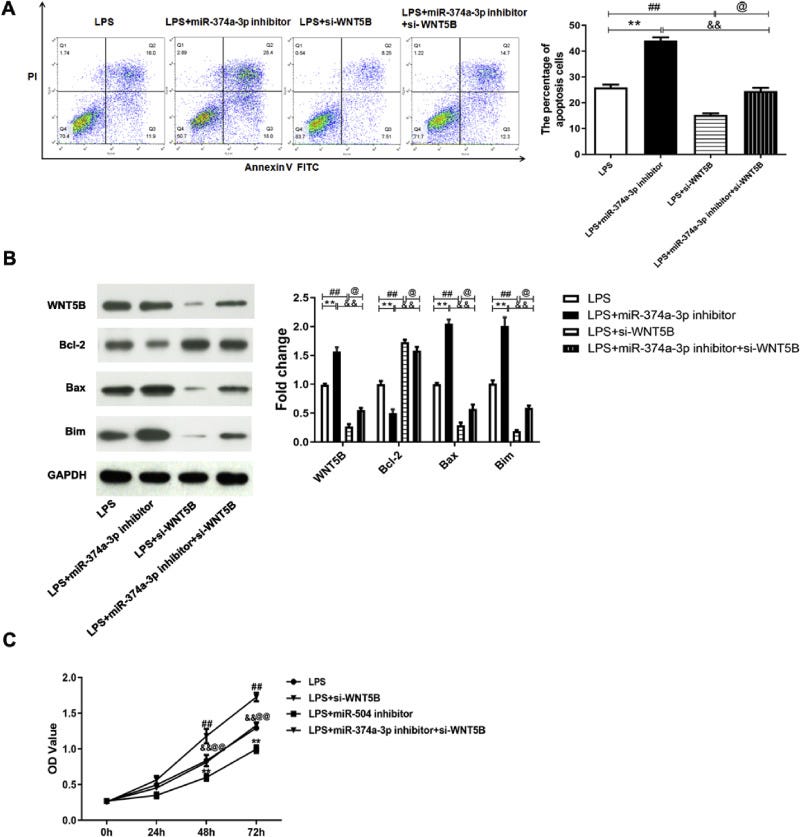 How the Spike Protein May Increase Lipopolysaccharide (LPS) Injury by ...