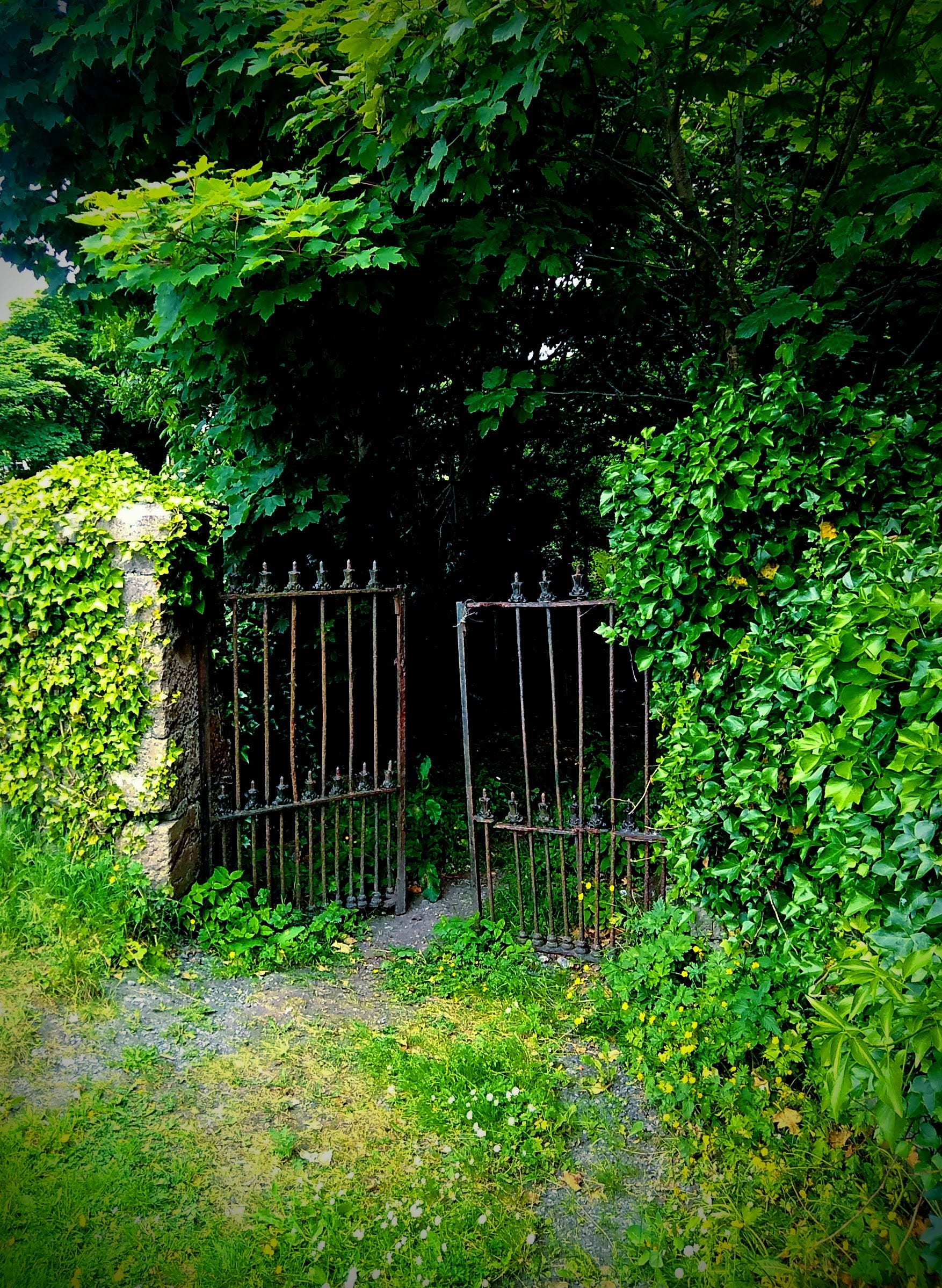 The Rattling At the Gate - by Seán Pádraig O'Donoghue