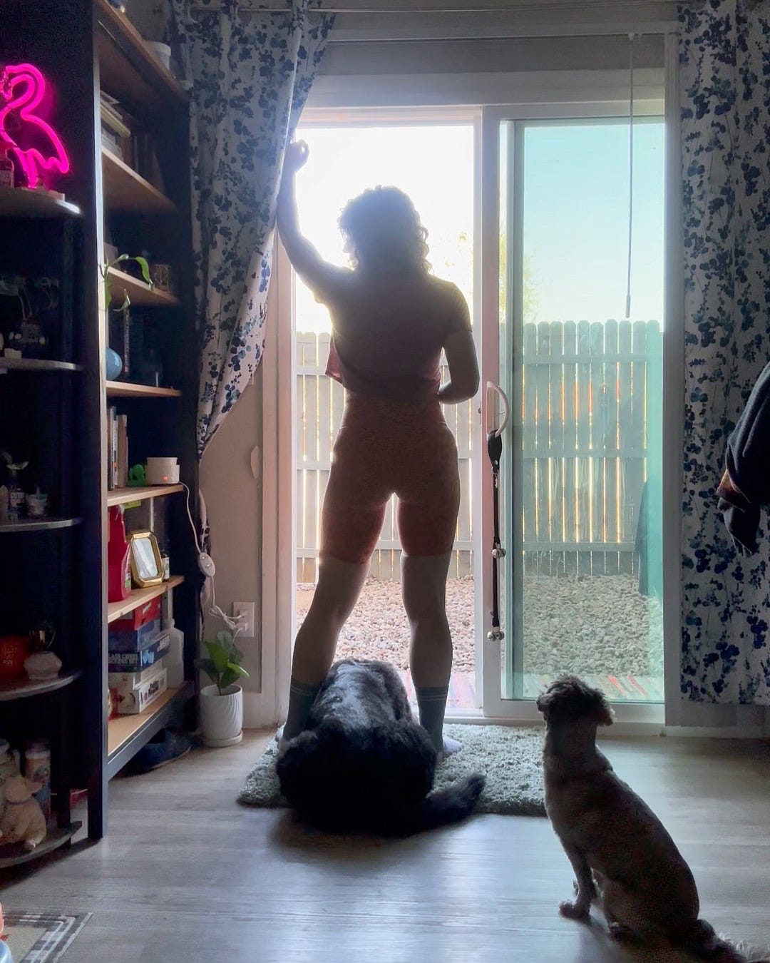 Veronica Wren | Substack