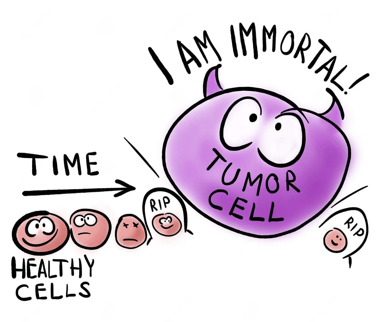 Can 2 Cheap Meds, 1 Vitamin & Baking Soda Kill Any Cancer?