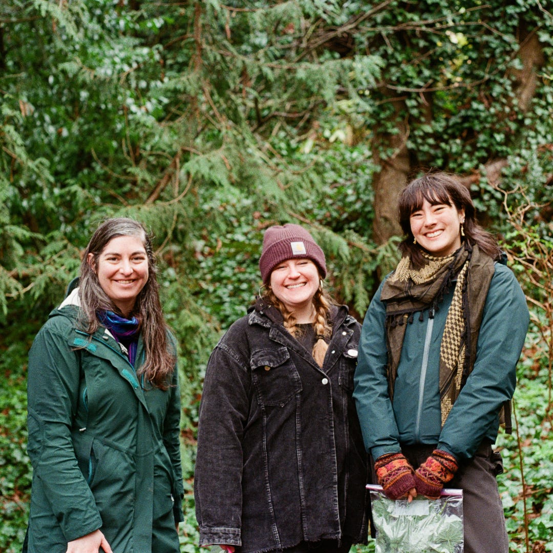 Stillness as the Gateway to the Heart - by Marika Clymer