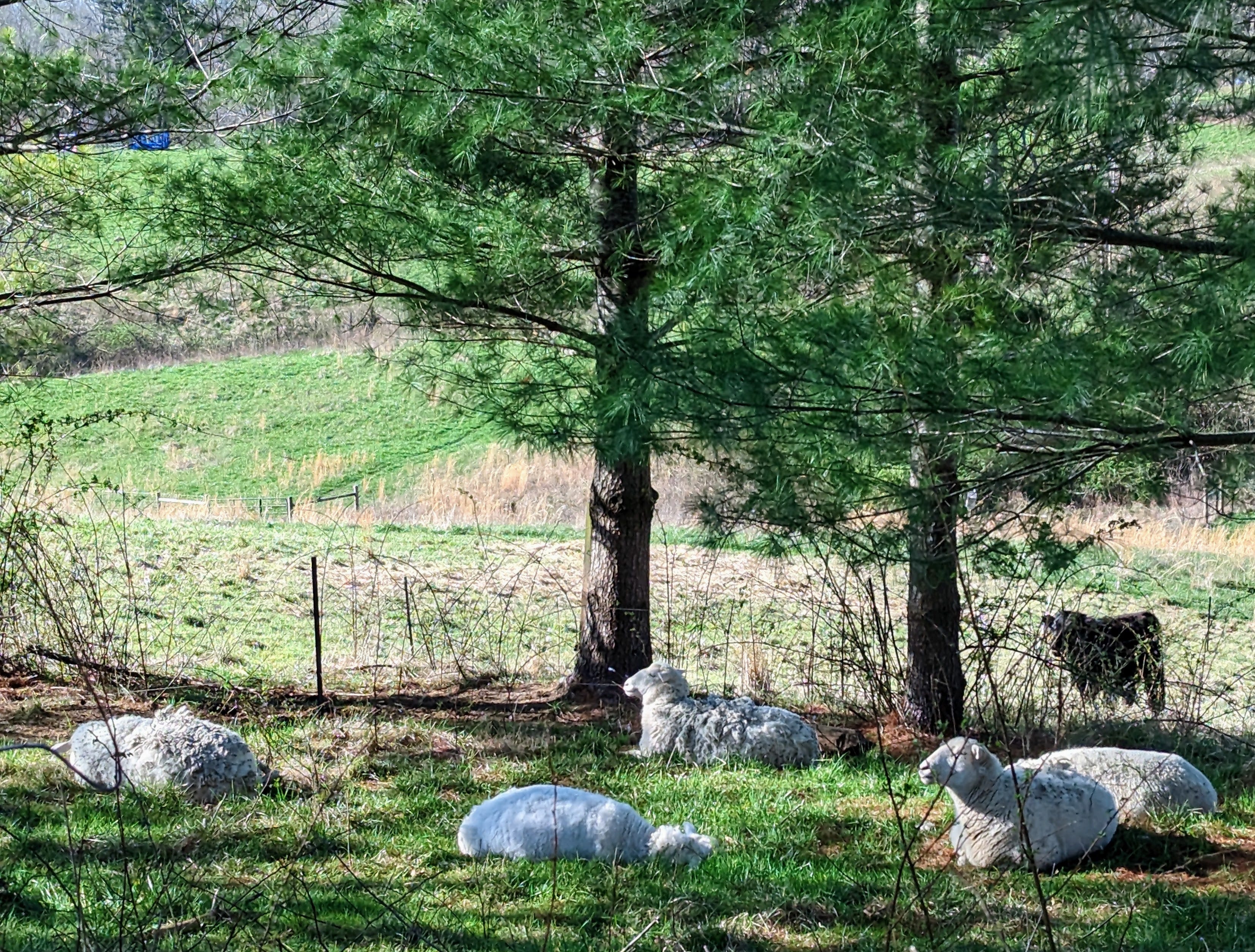 Welcome To The Peep Show - by AC Shilton