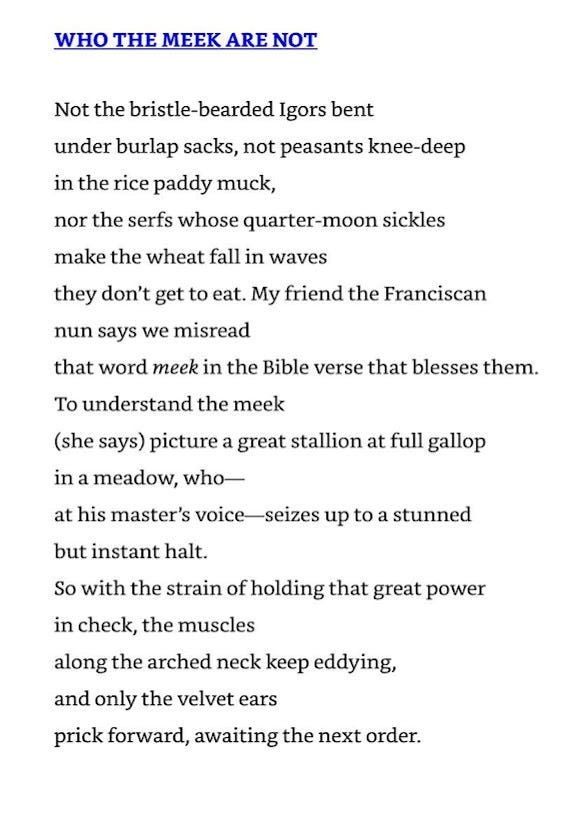 9 Poems for People Who Don't Like Poetry - by Sarah Allen
