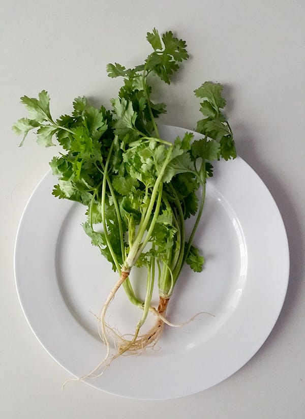 On Pakuchi - by Leela Punyaratabandhu - The Epestle