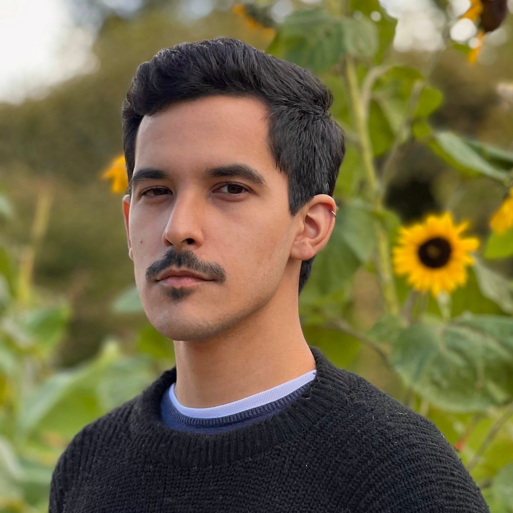 Pedro Chamberlain | Substack