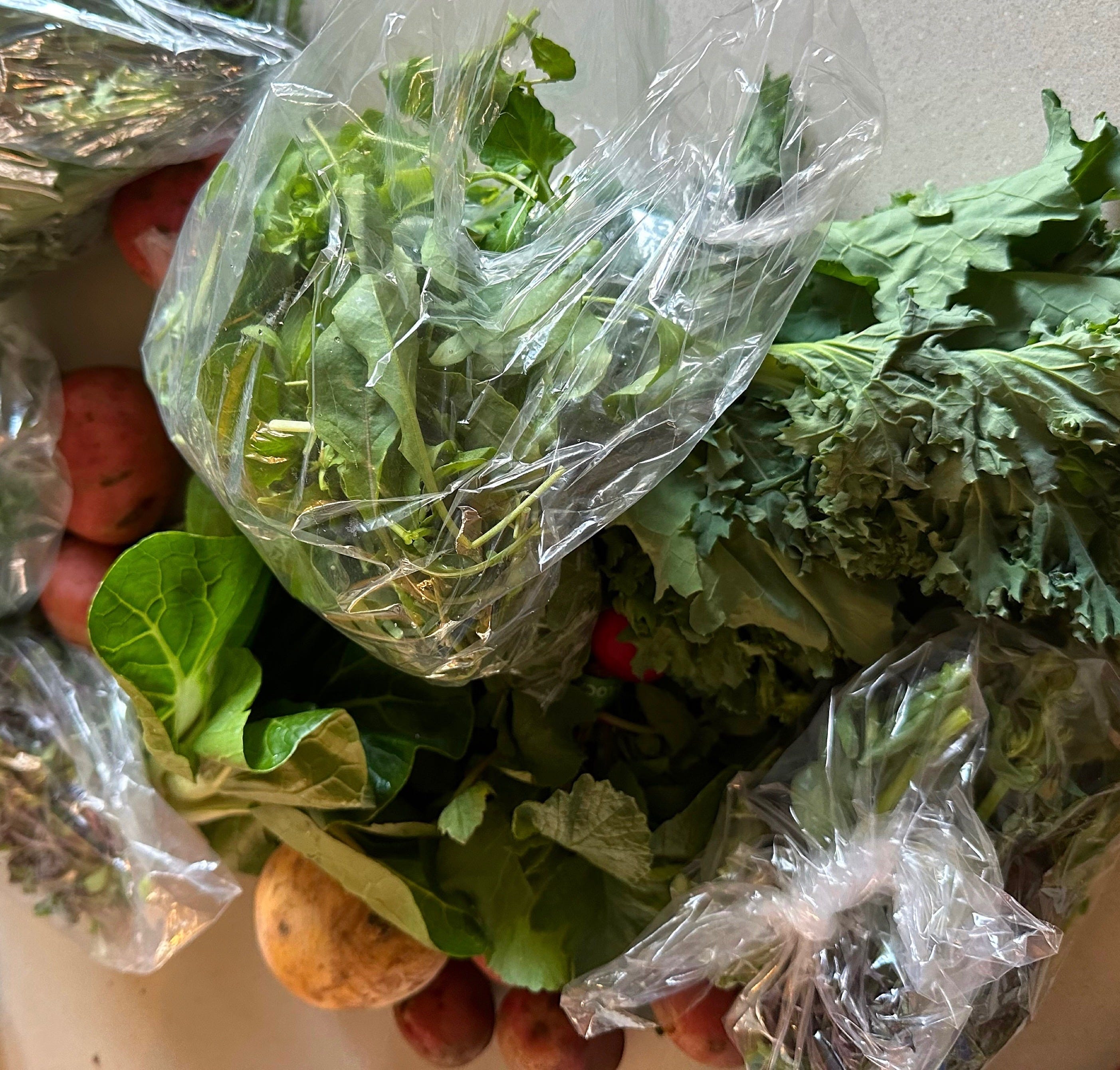 Walking the Earth Day Walk: Jane Goodall and Lauren Sweeney