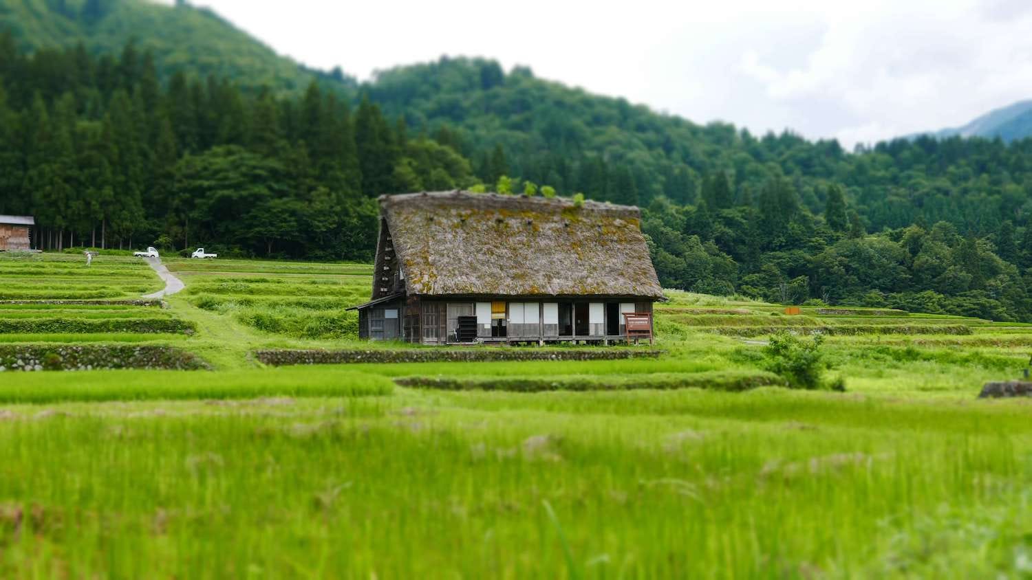 How to Invest $10,000 in Japan's Akiya Homes: A Beginner's Guide