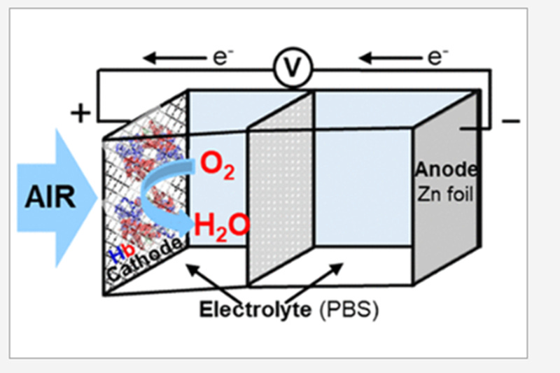 World's First Hemoglobin Battery Unveiled - by Faisal Khan