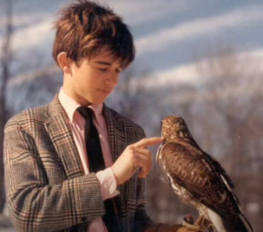 The Hawk, the Fox, and the Eagle: RFK, Trump and The US Presidential Race