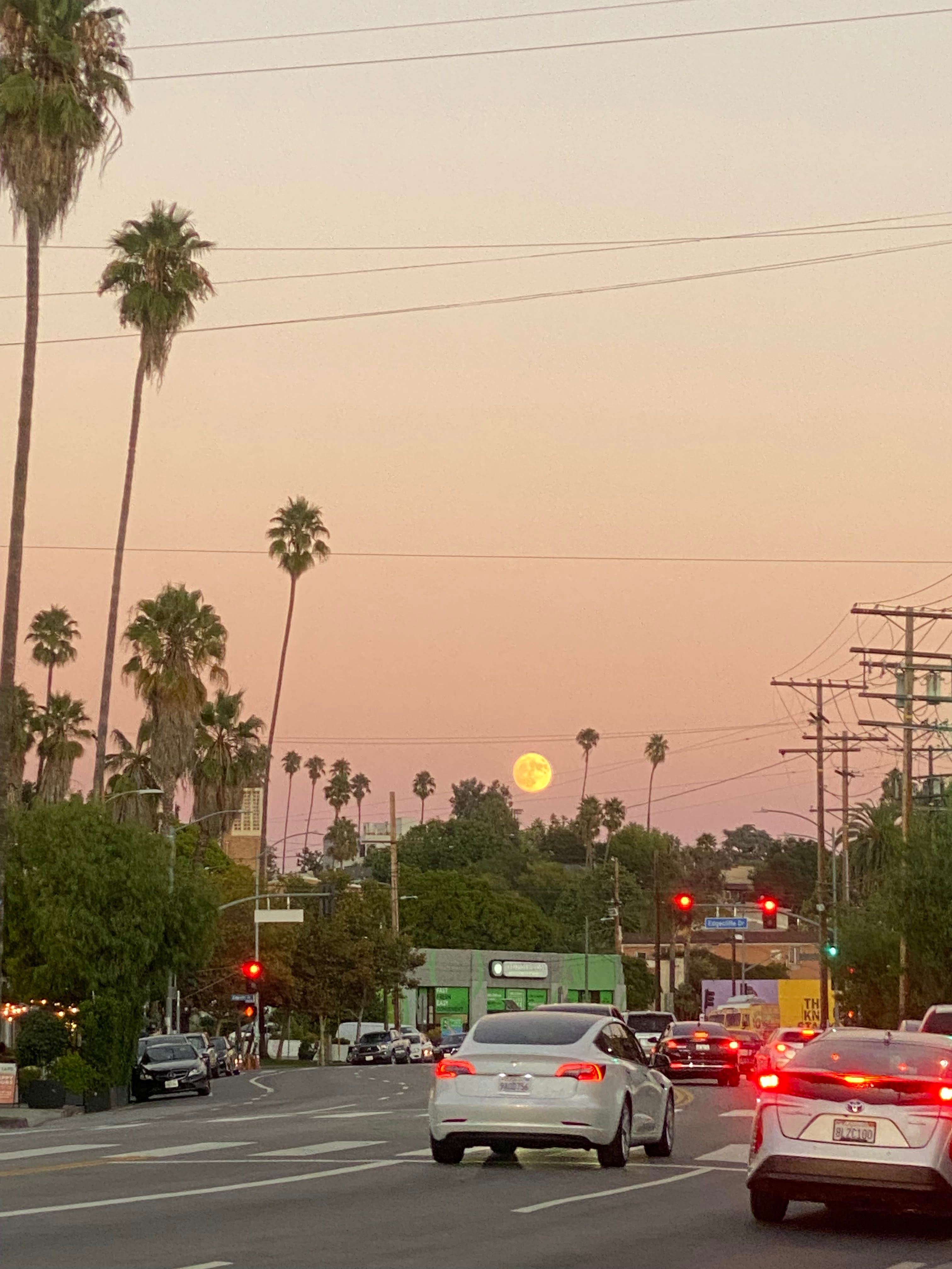 New City, Same Signs - by Nina Solis - Gentle Observer