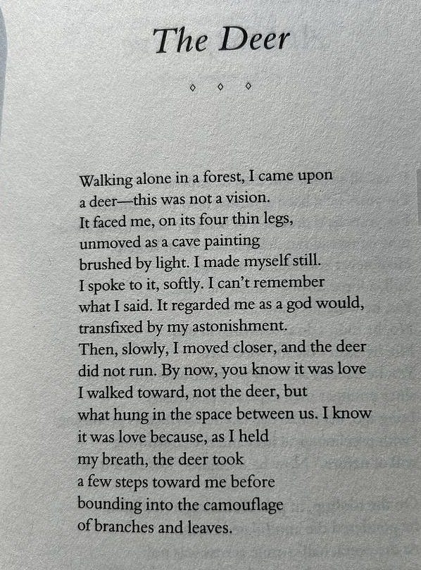 Poems for Your Weekend - by Maya C. Popa - Poetry Today