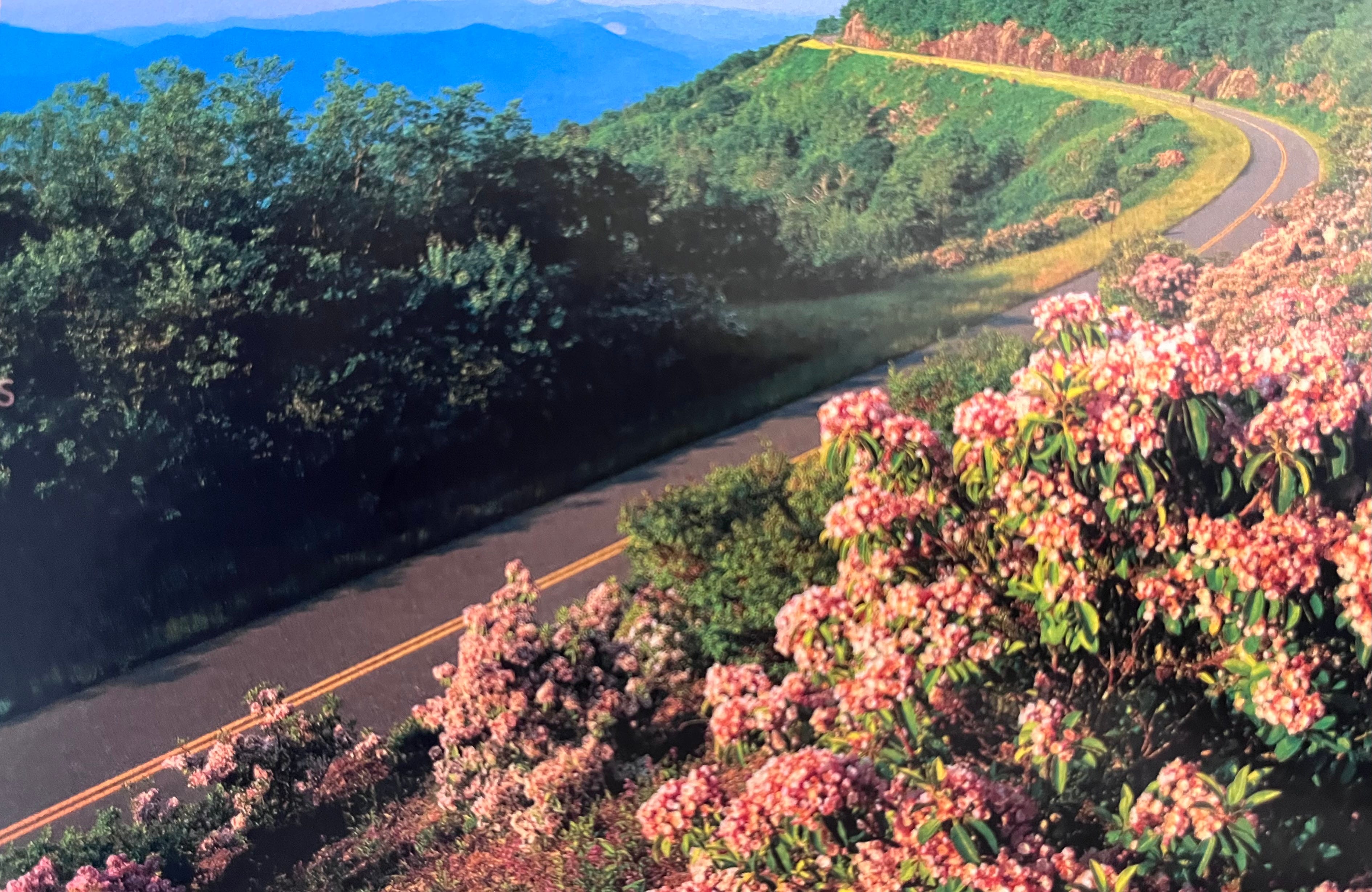 From Blowing Rock to Roanoke - Christopher’s Substack