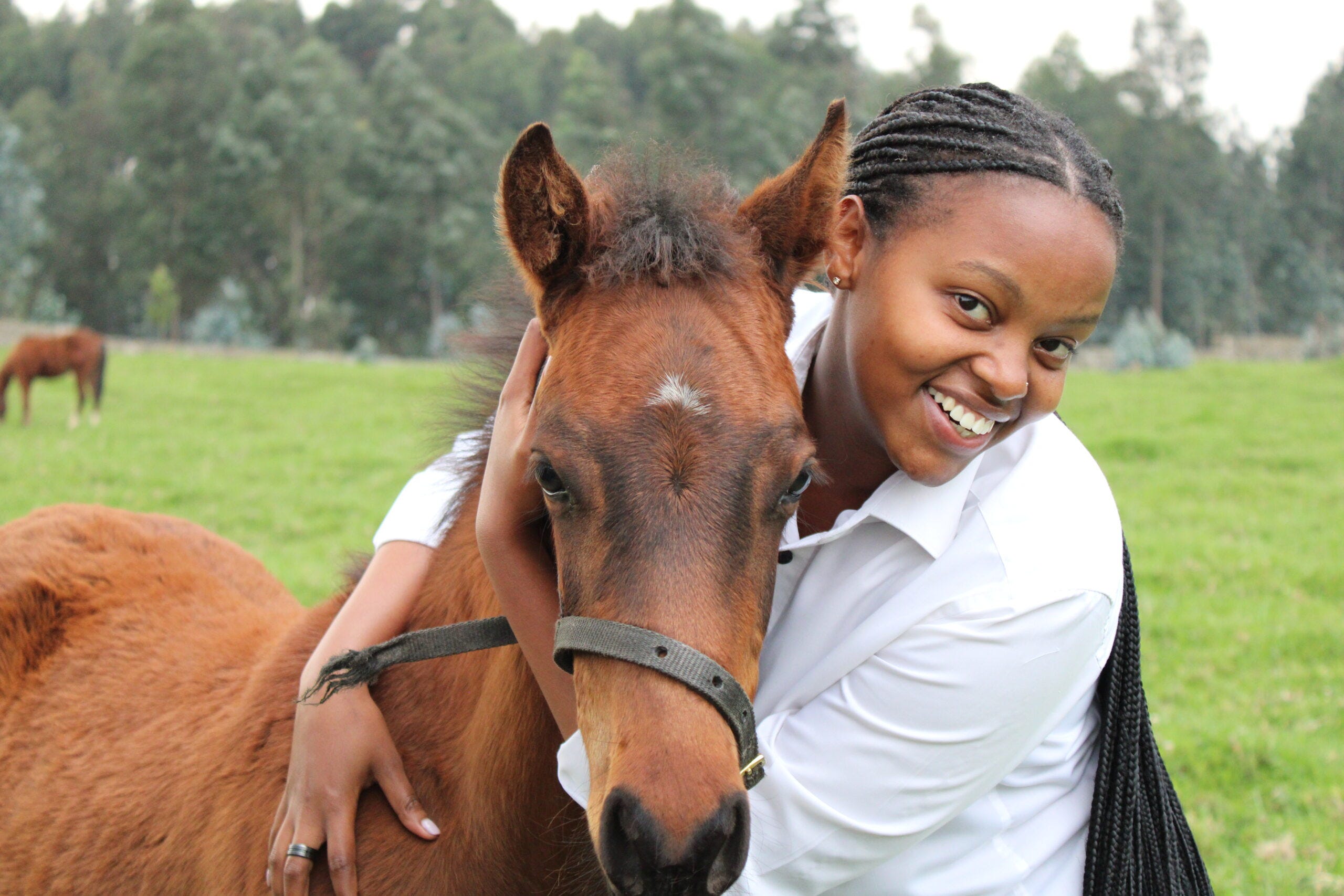 Connect with Animals at Farmhouse Rwanda