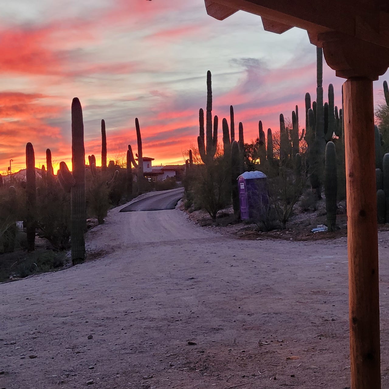 Robin Gates -- Essays on How to Live subscriber chat