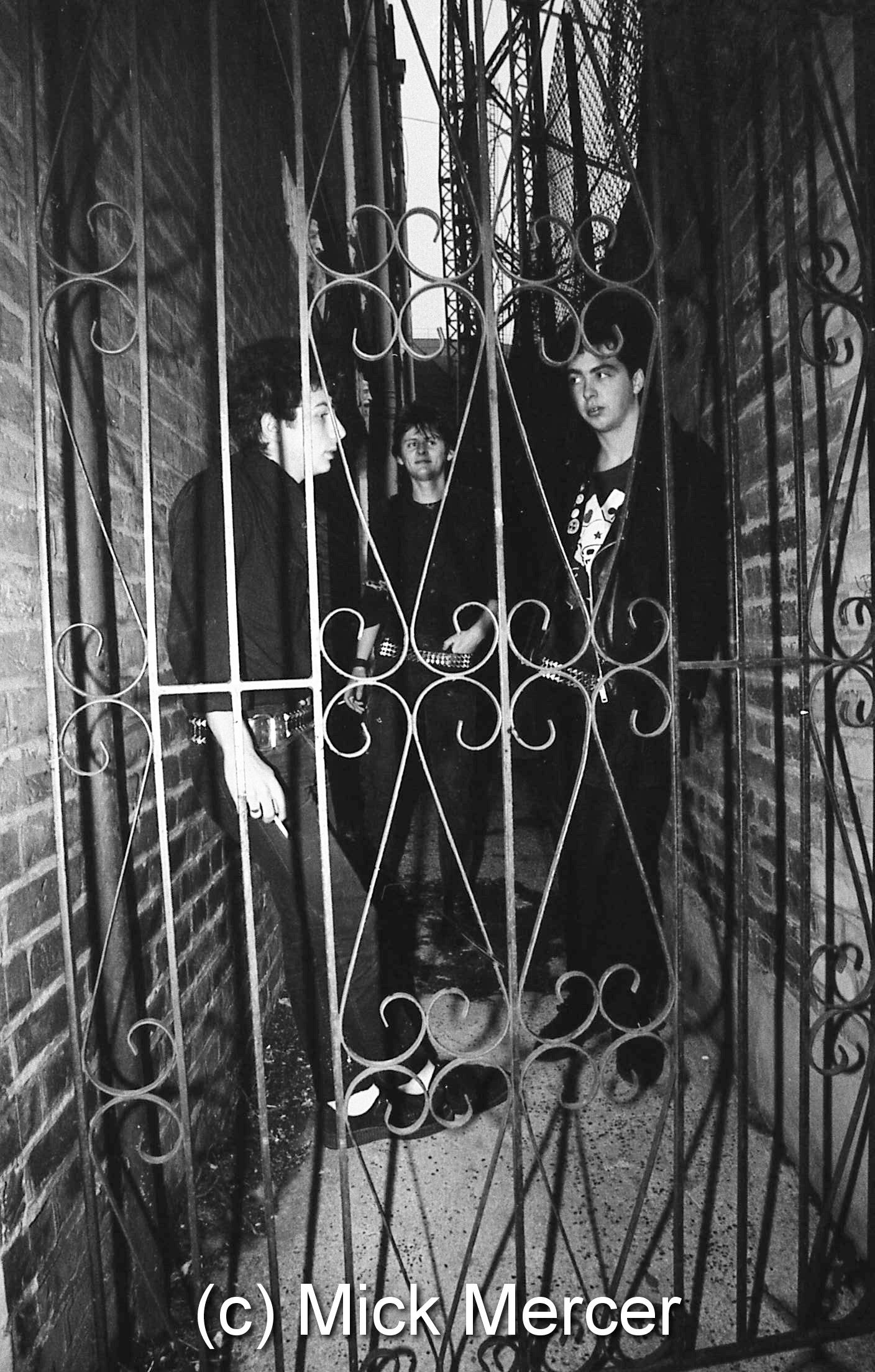 ON THIS DAY ... in 1983 - THE PARTISANS!