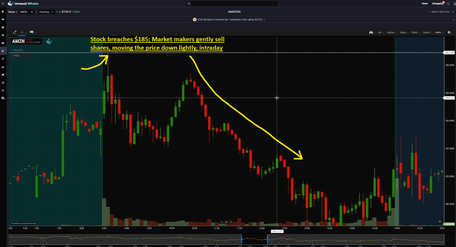 How to understand Gamma, Delta, GEX, DEX and more using Unusual Whales
