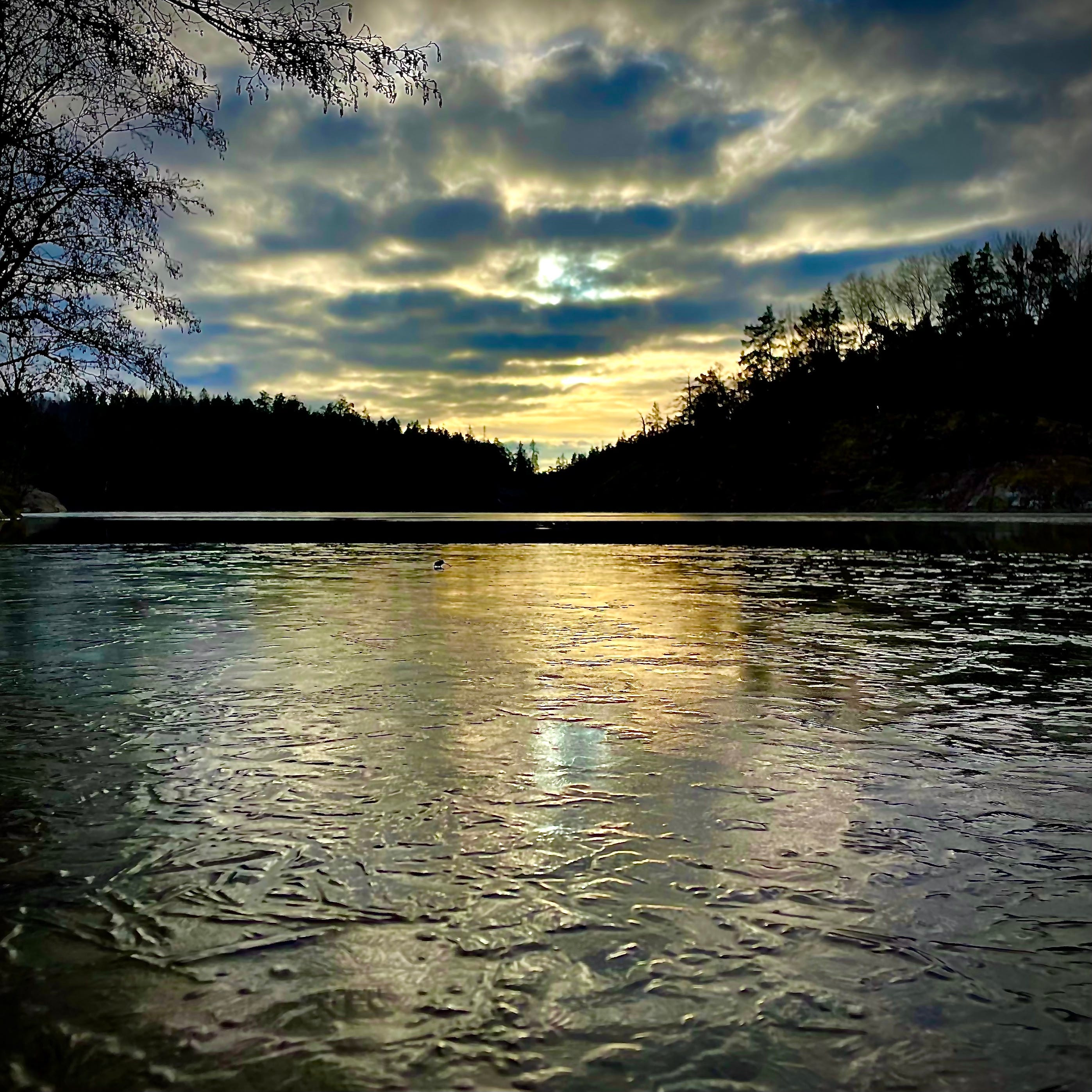 There Be Monsters - Jonathan Foster's The Crow