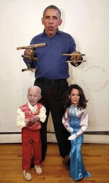 Patrick.net Memes | patrick.net/memes | Substack