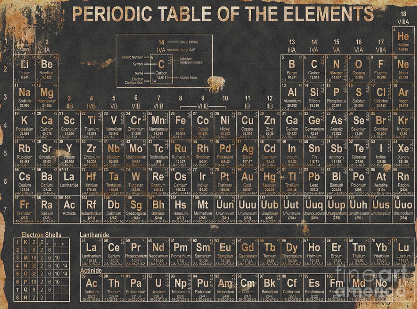 Periodic Table of Forest Elements - by Ann Collins