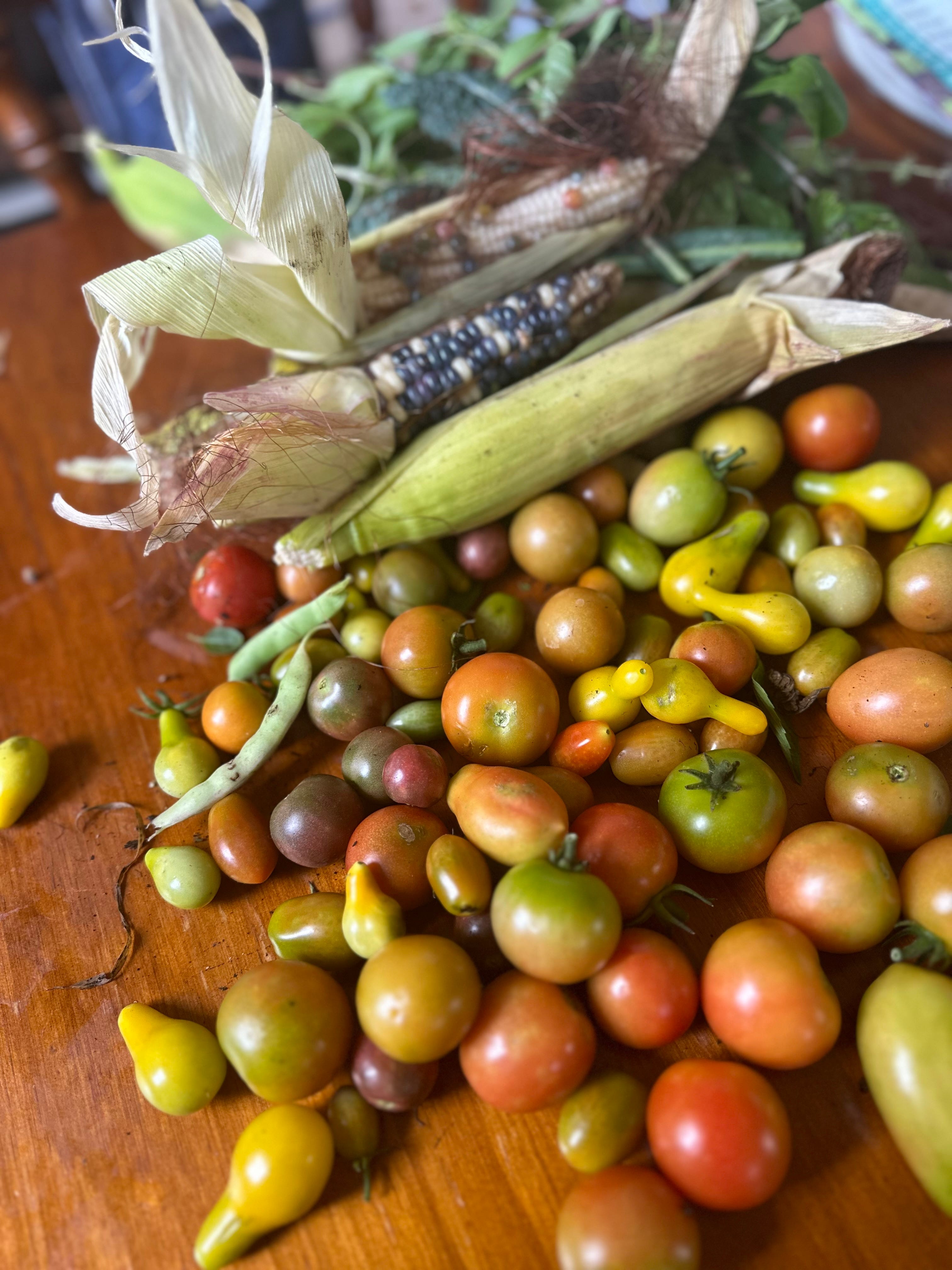 Part 4 (& final post!) from Polyface Farm