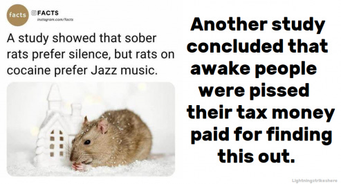 Cocaine - Rat Says
