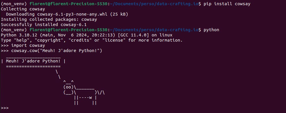 [JOUR 14] II. Python, the right way : pip et les environnements virtuels