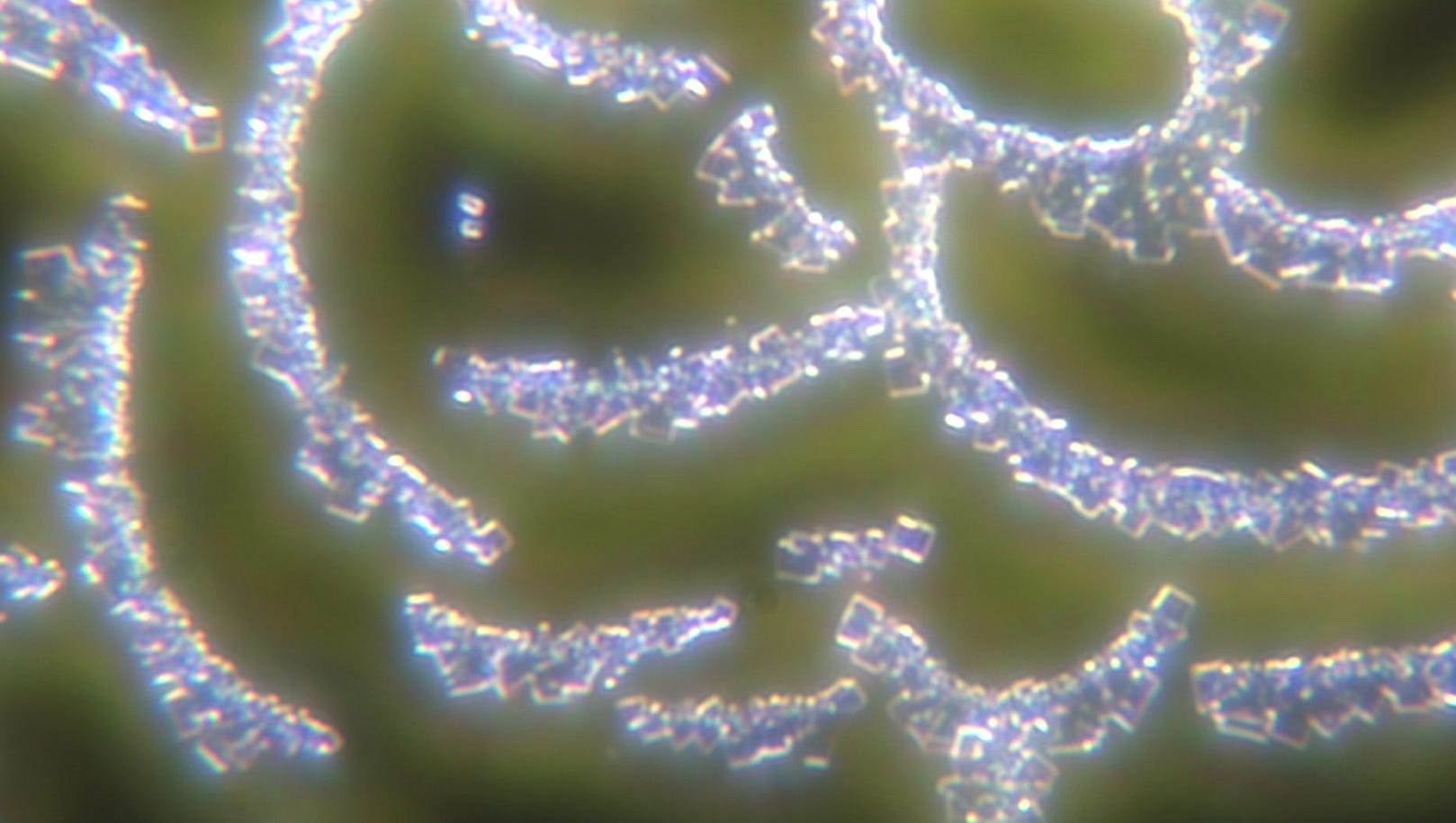 Darkfield Microscopy Of Pfizer's Enbrel (Etanercept) Shows Nanoantennas ...