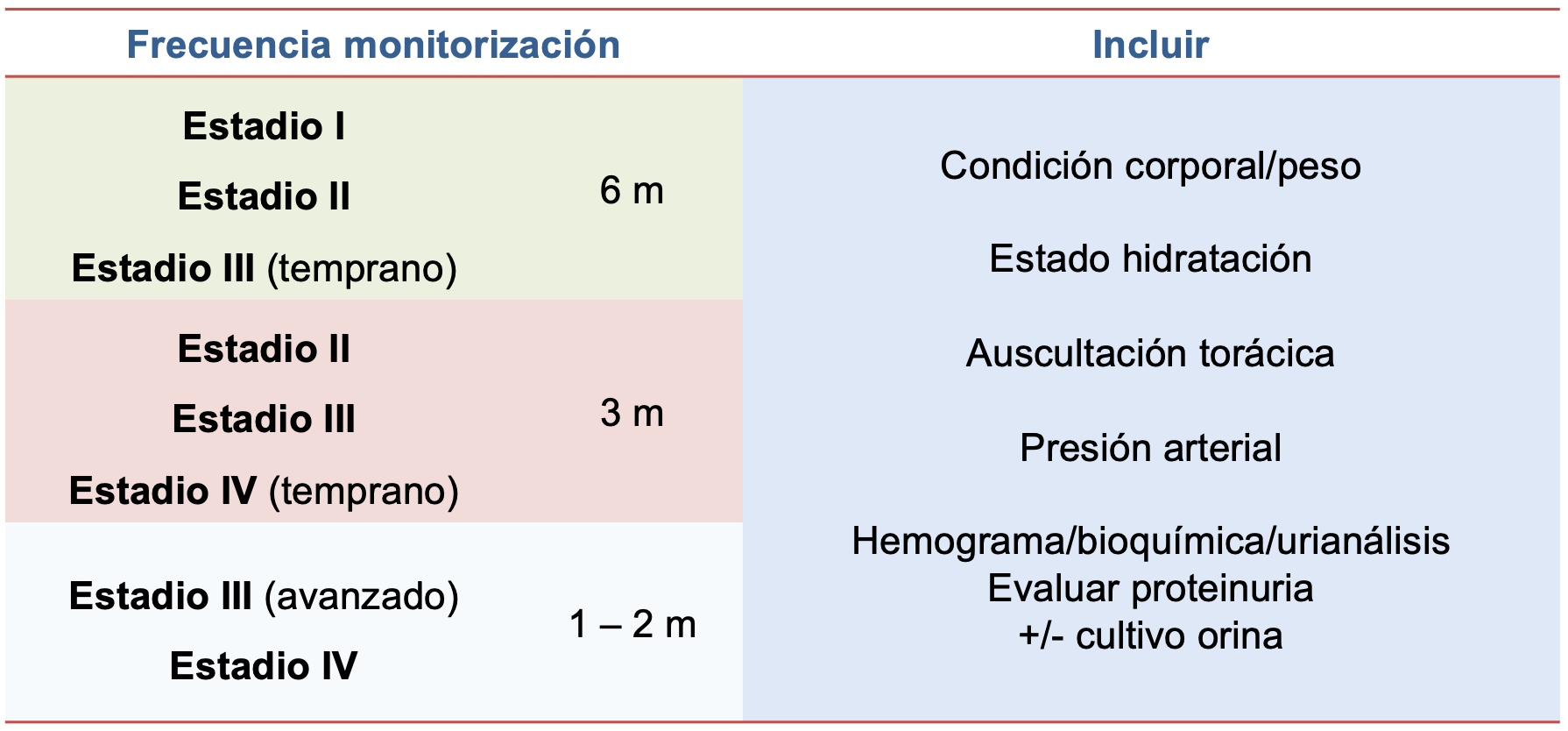 Enfermedad renal crónica en perros y gatos (II)