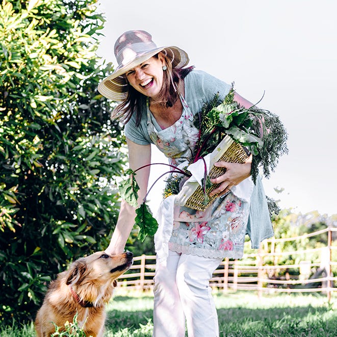 Katrina MacAllan | Substack