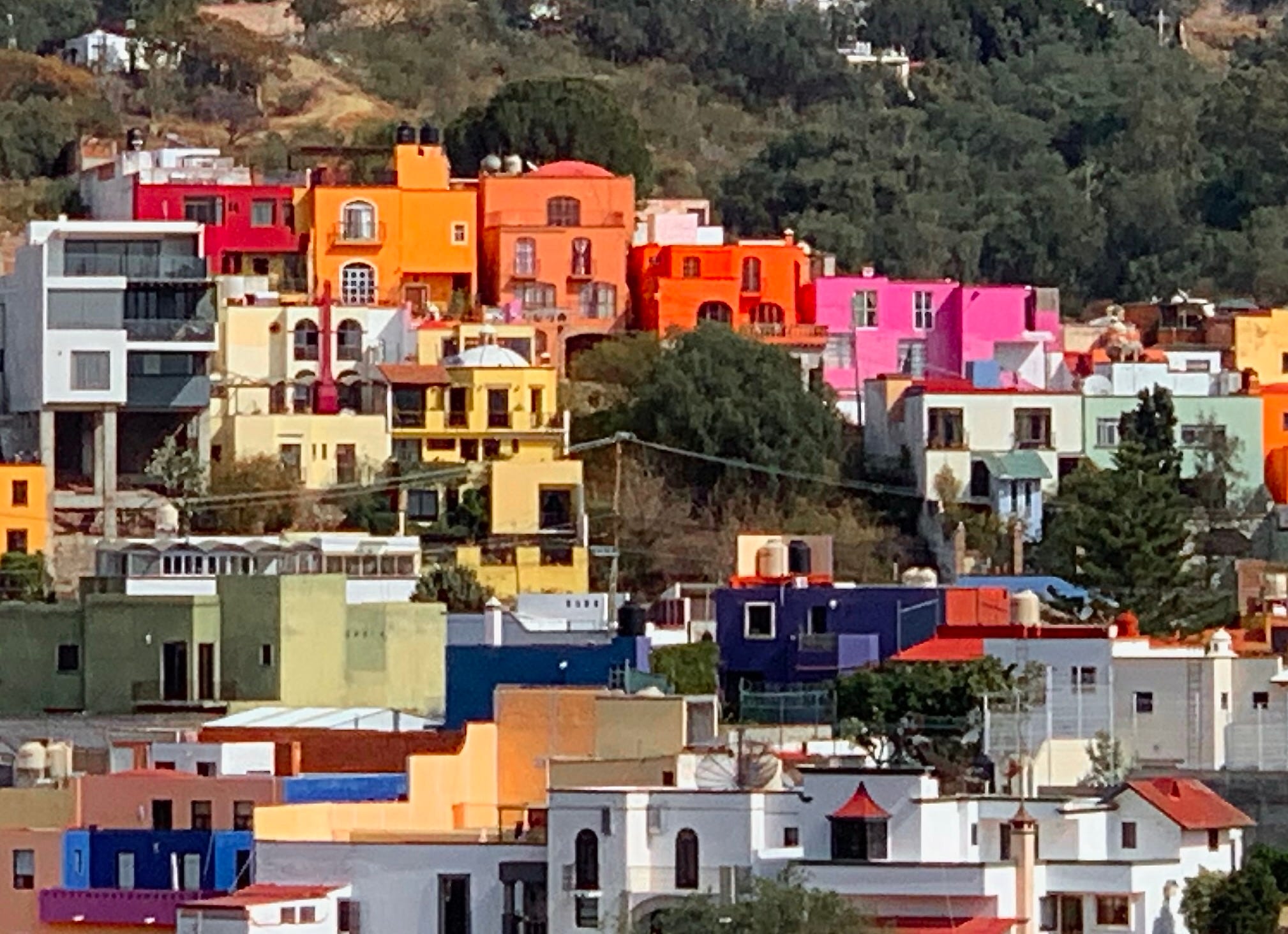 Peter Newman | Substack